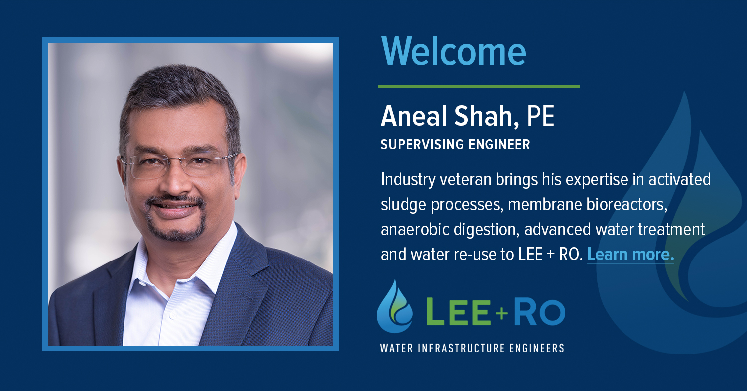 Aneal Shah Joins LEE + RO